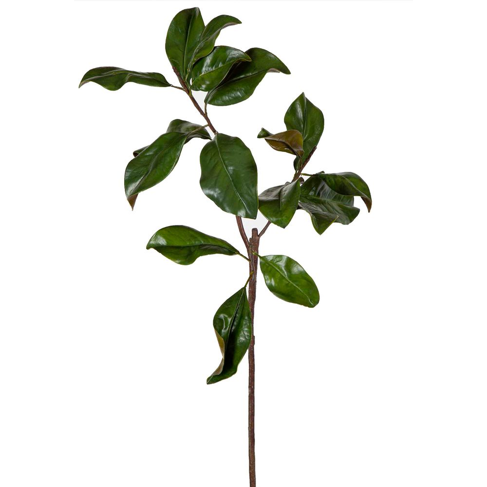 Magnolia Leaves Large Green | House of Isabella AU