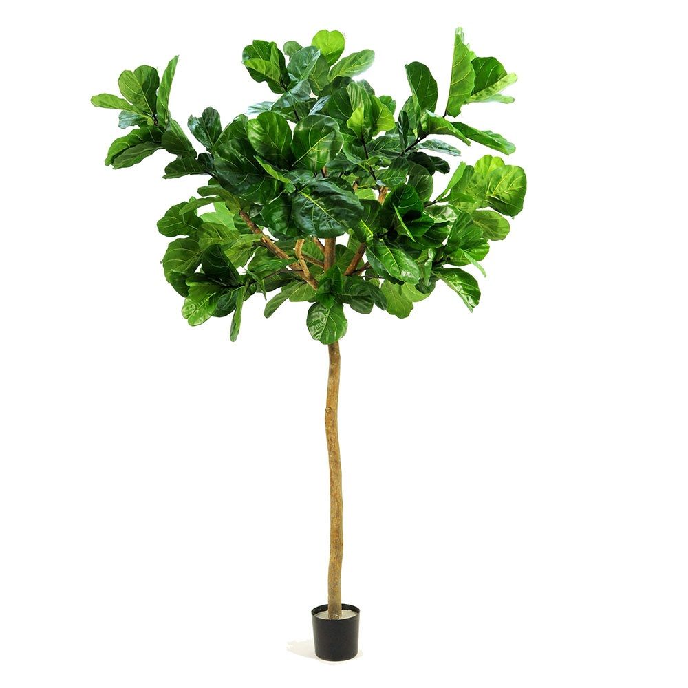 2.7m Fiddle Leaf Giant Faux Artifical Tree with 200 Leaves by ...