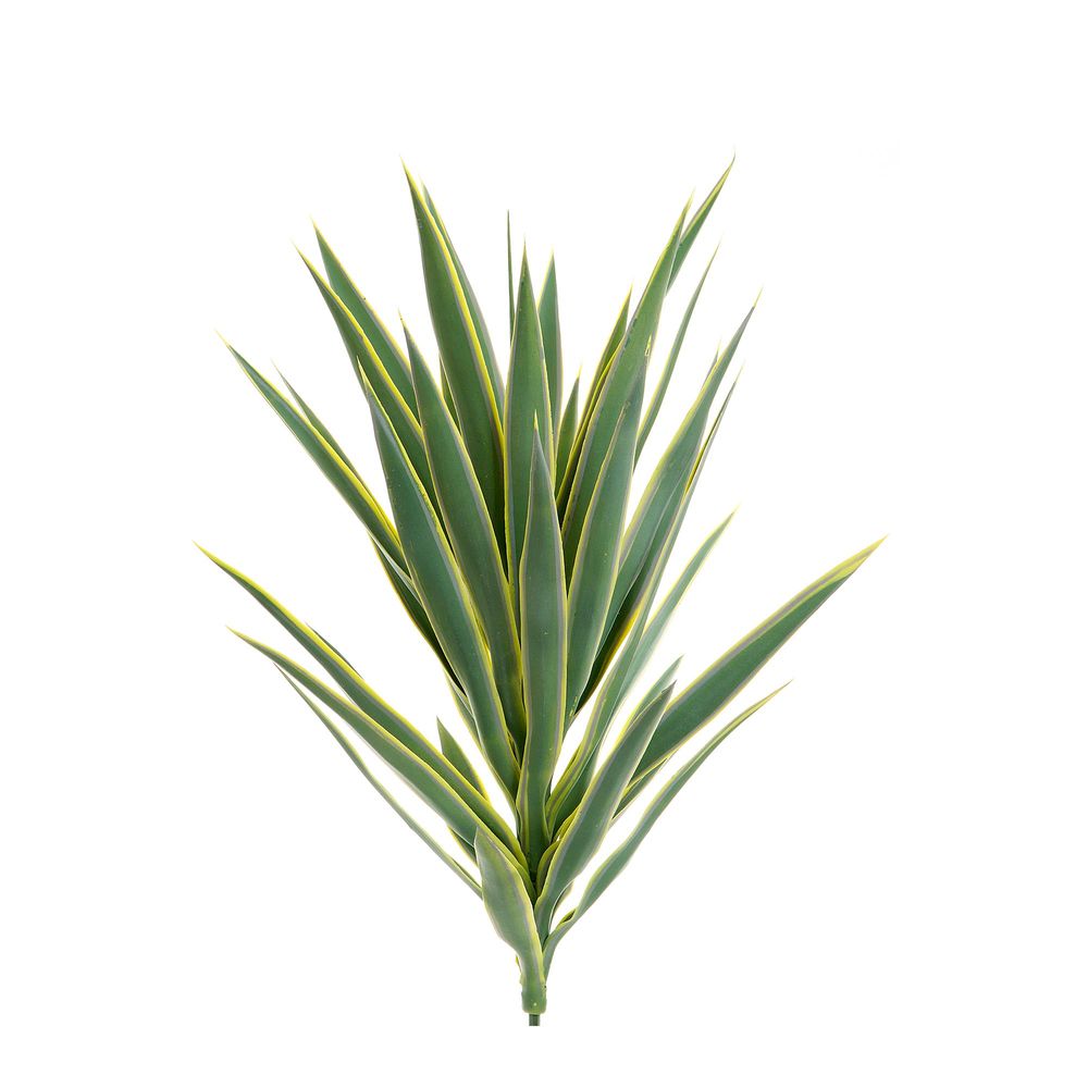 Yucca Head W/36 Lvs 78cm Green– House of Isabella AU