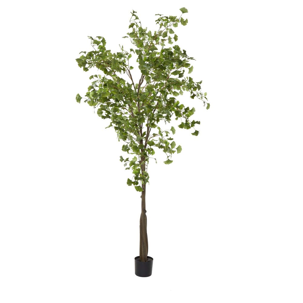 Artificial Ginko Tree 2.4m Potted – House of Isabella AU